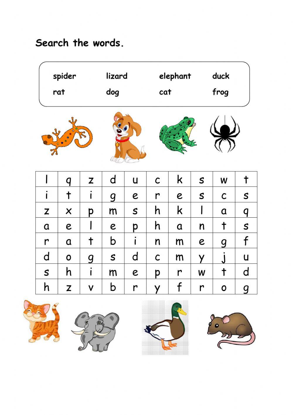 Pet show interactive worksheet | Live Worksheets