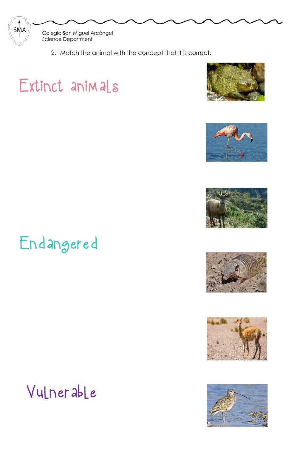 Save our planet!! 5749937 | Rocio Novoa | Live