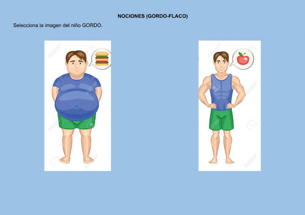 Nociones (gordo-flaco) worksheet | Live Worksheets
