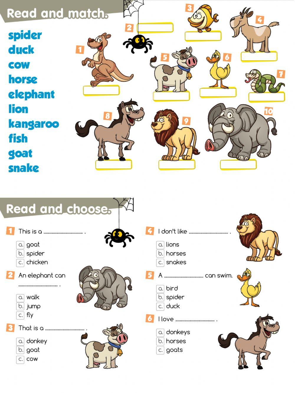 235799 | Animals -Drag-Drop Multiple Choice | Burcin