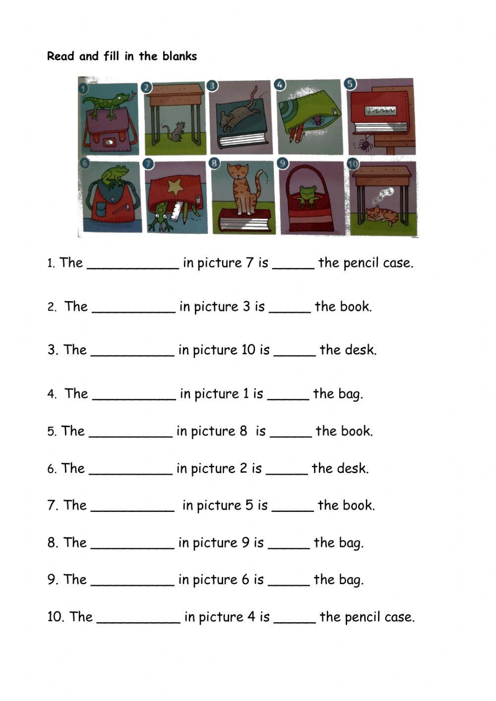 Pet show activity | Live Worksheets