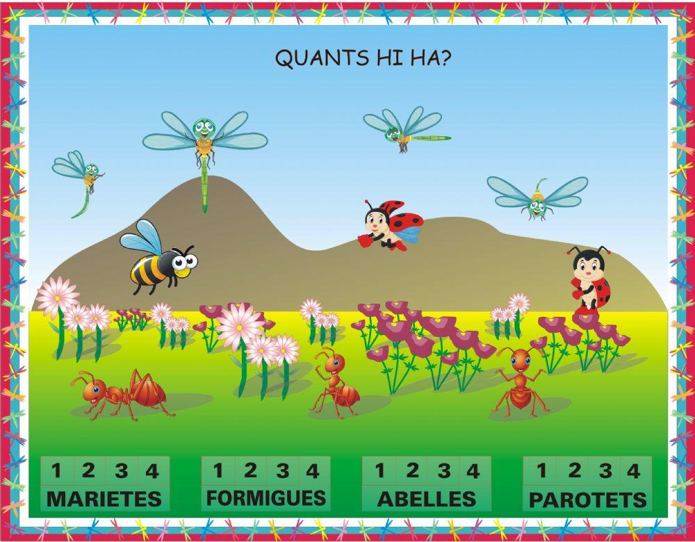 Quants hi ha? online activity | Live Worksheets