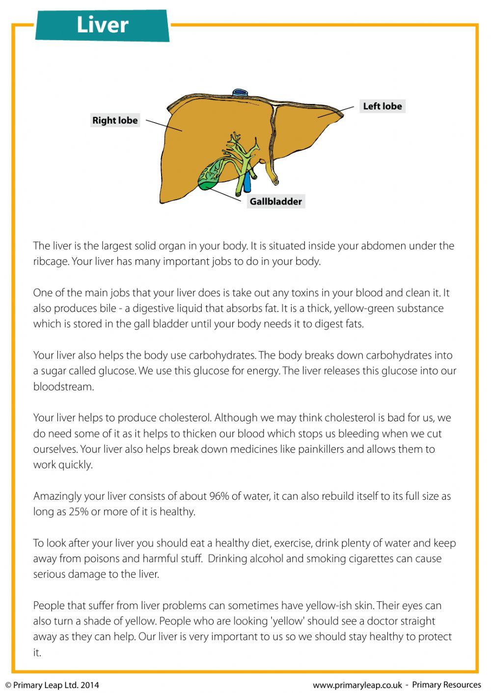 THE LIVER | Free Interactive Worksheets | 5754978