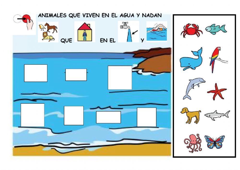 Animales que nadan, vuelan y andan 238729 | Erica Ramos