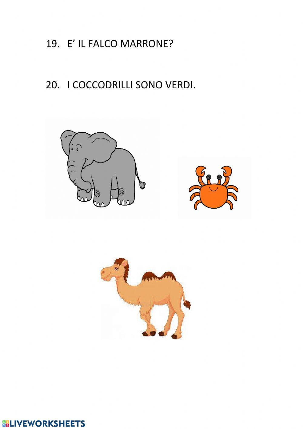 Wild animals and Verb To be online exercise for | Live Worksheets