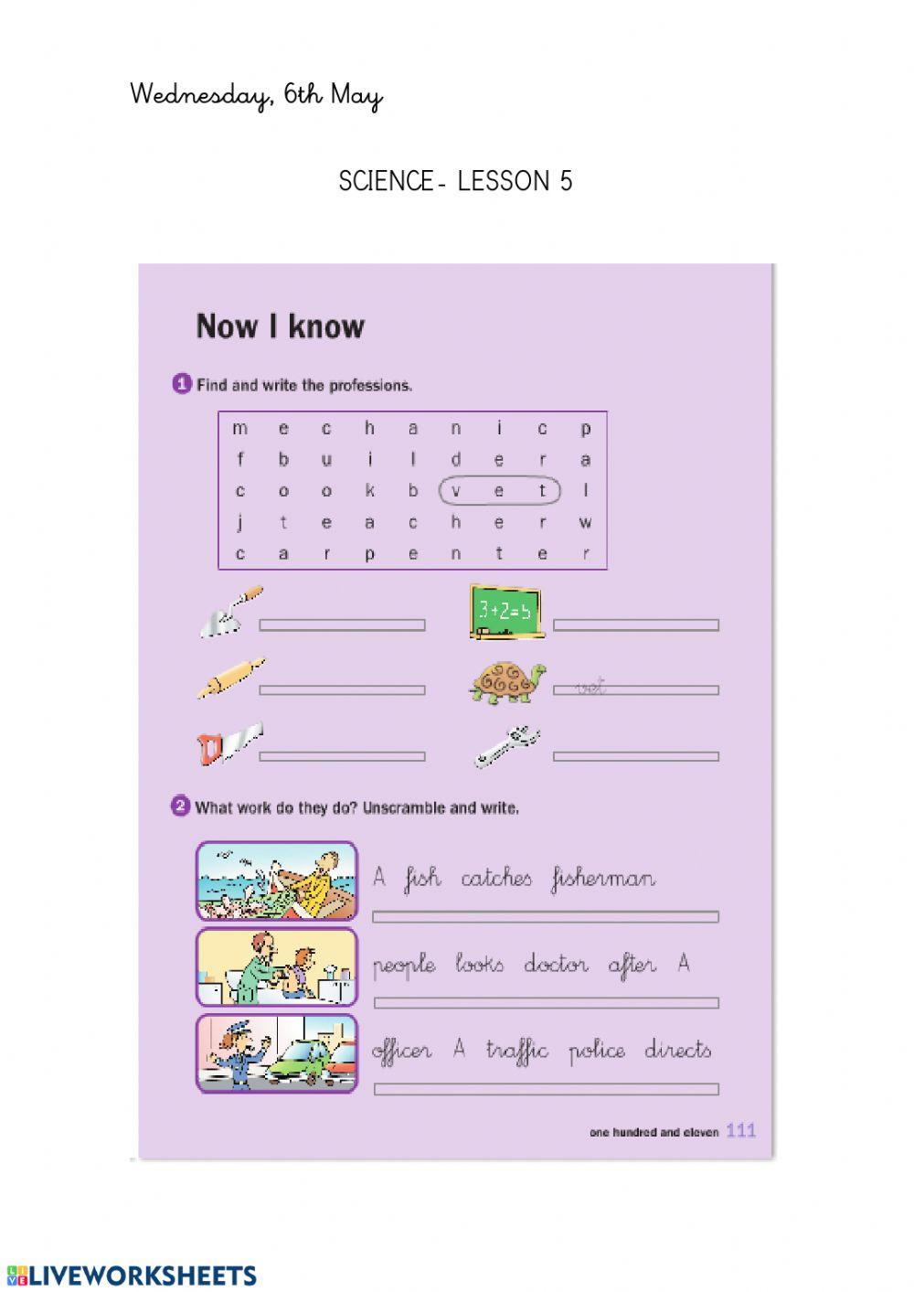 Jobs for everybody-Lesson 5 worksheet | Live Worksheets