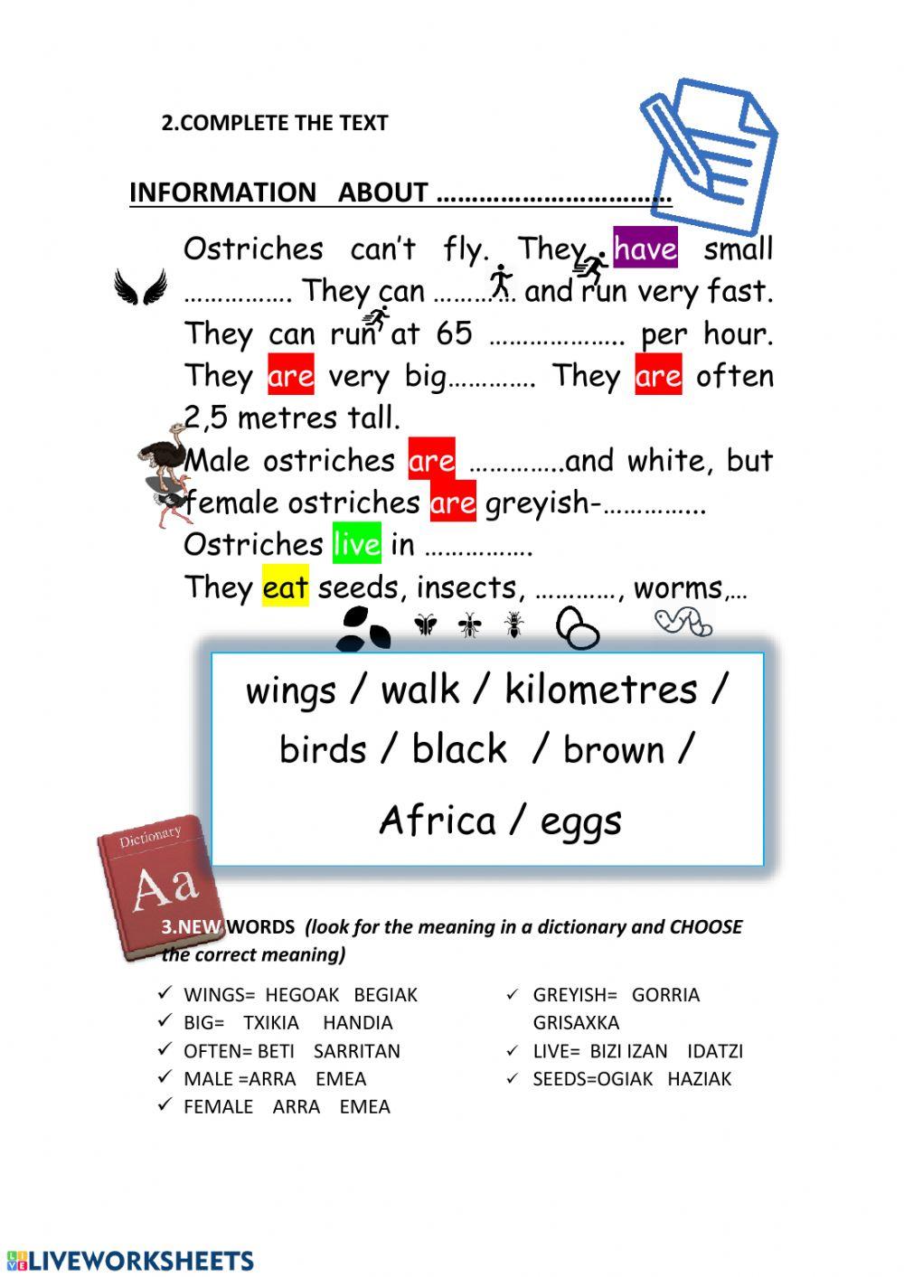 P4 ostriches reading comprehension (easier) worksheet | Live Worksheets