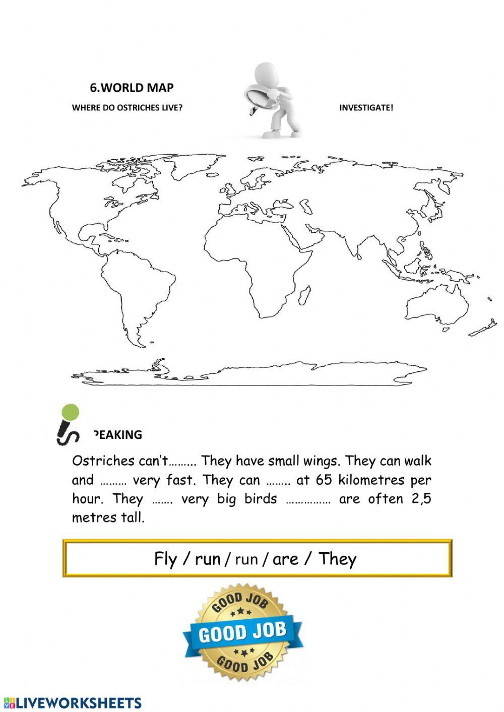 P4 ostriches reading comprehension (easier) worksheet | Live Worksheets