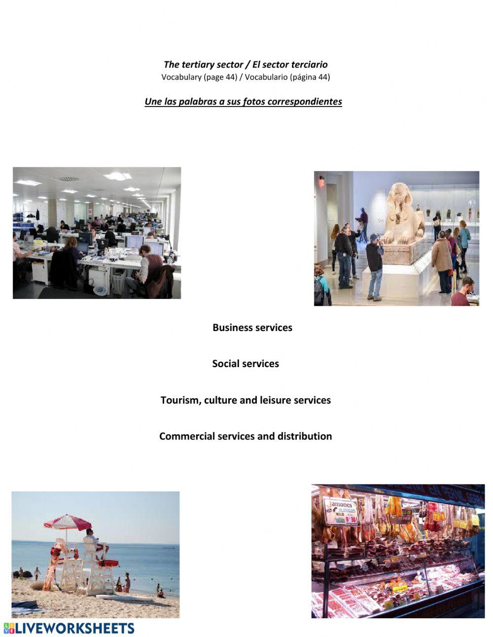 Tertiary Sector Services worksheet | Live Worksheets