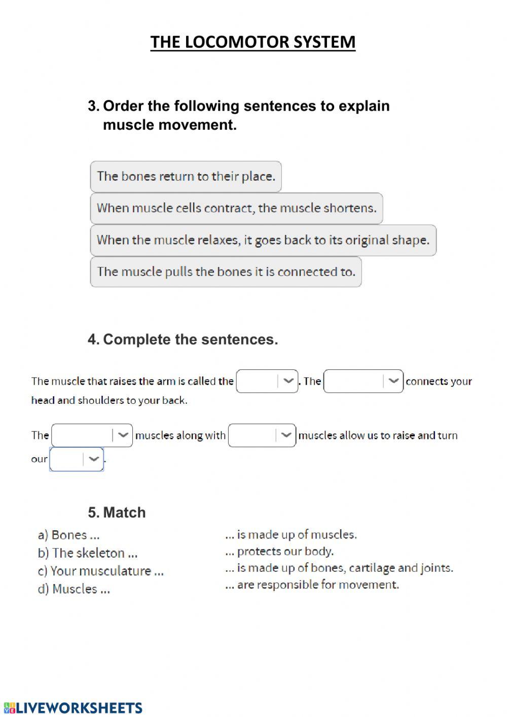 The locomotor s… | Free Interactive Worksheets | 150223