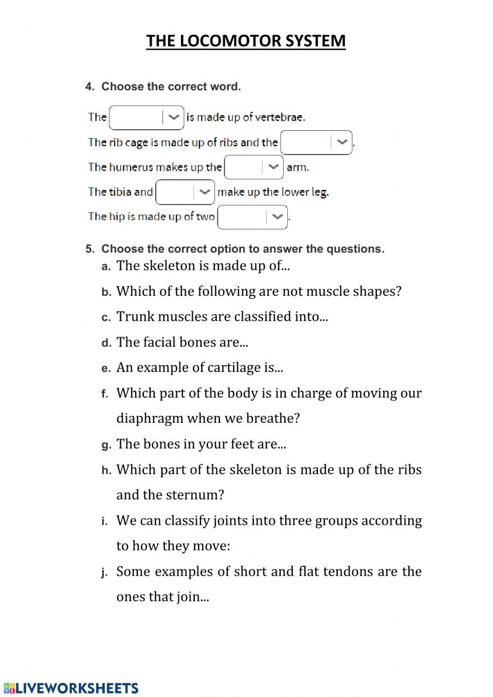 150365 | The locomotor system | ralfer | LiveWorksheets