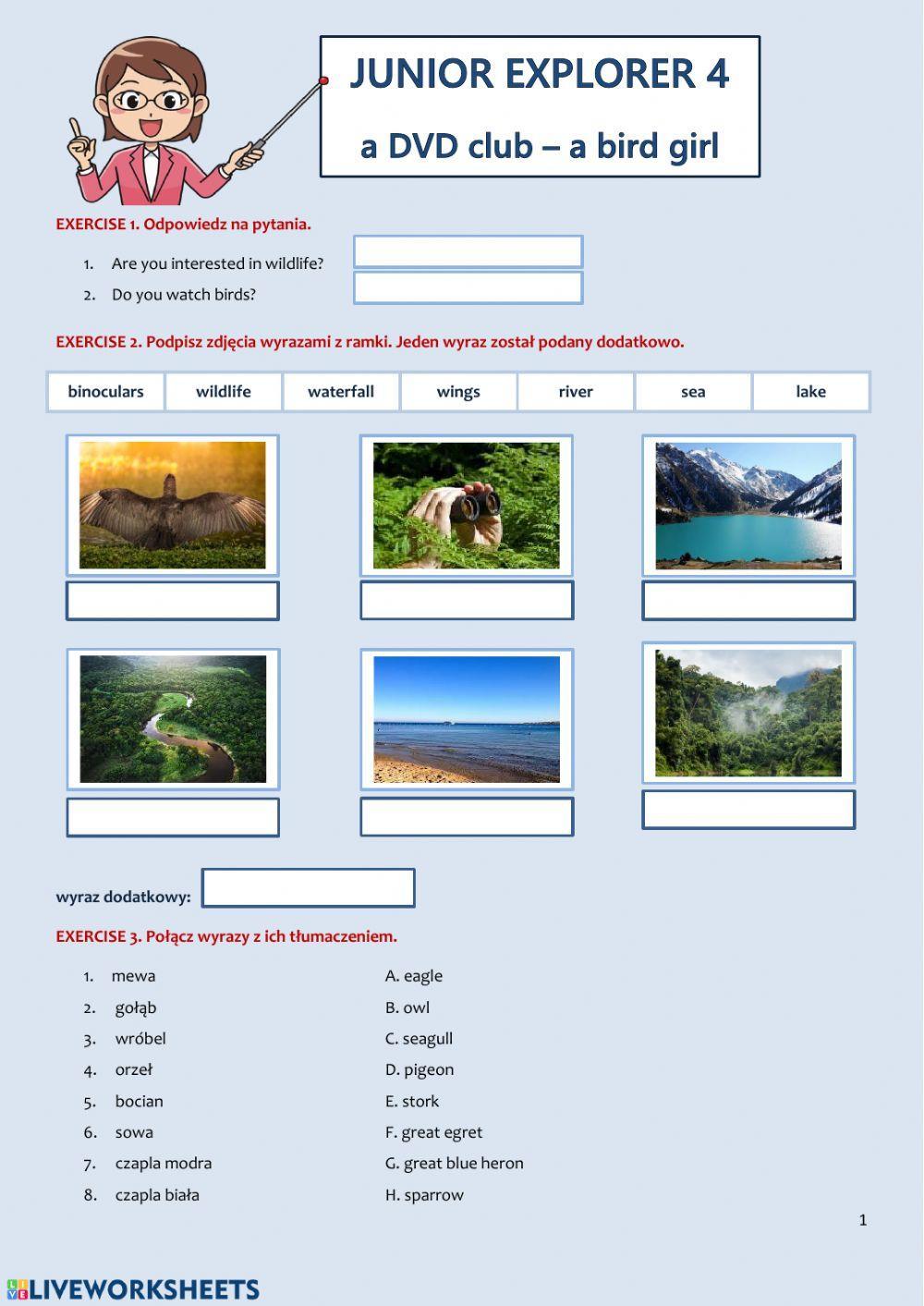 Junior Explorer… | Free Interactive Worksheets | 150493