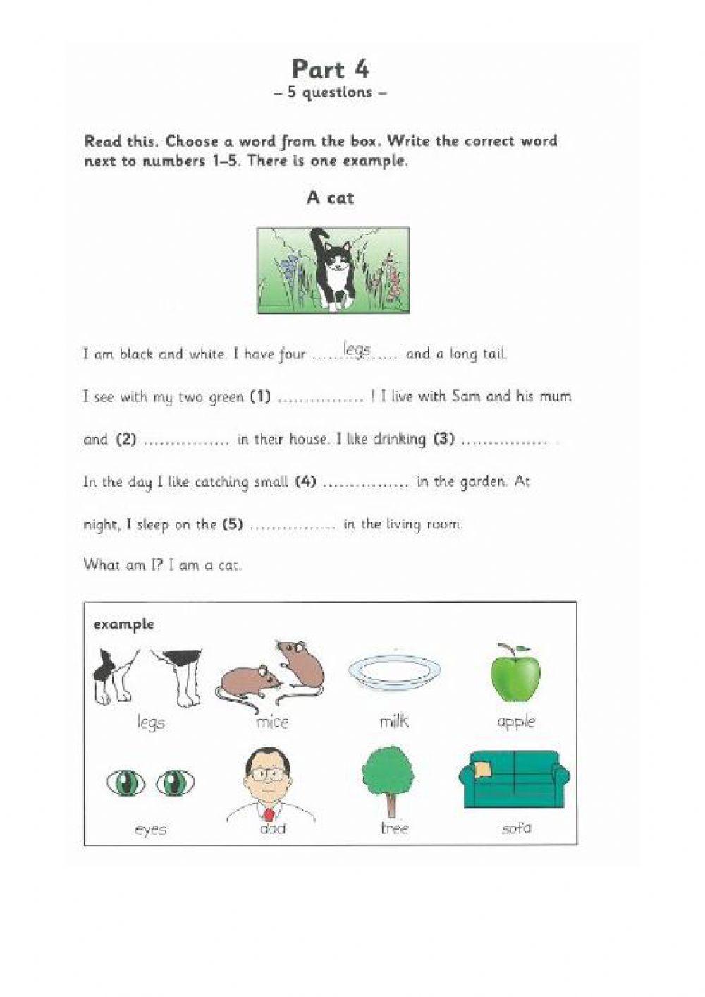 La1 - 3rd term - final reading exam worksheet | Live Worksheets