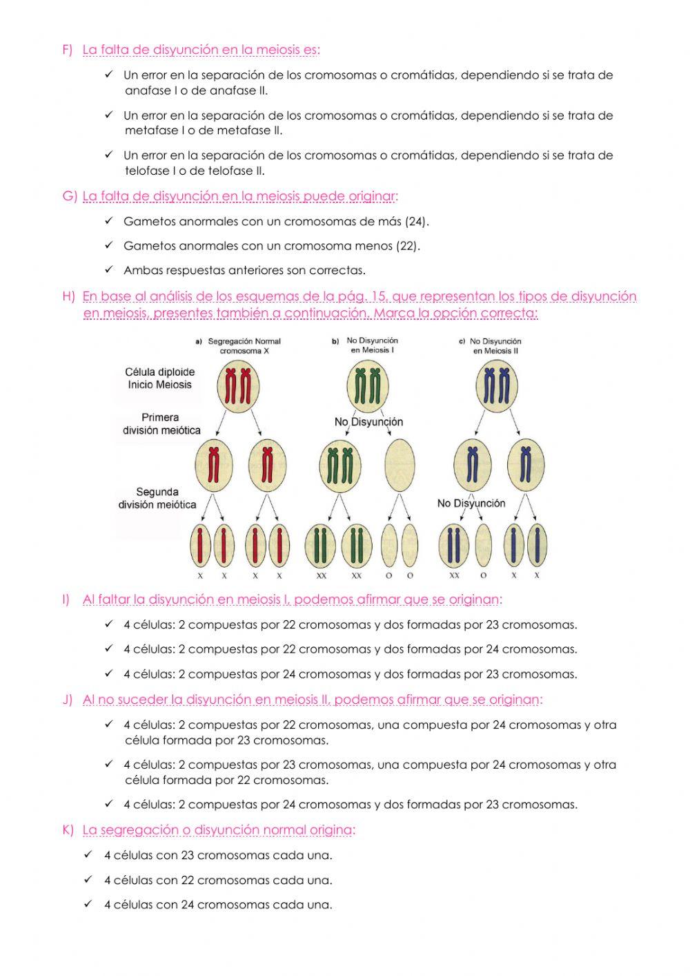 5763273 | MEIOSIS:REPRODUCCIÓN DE GAMETOS. | Juliana_08
