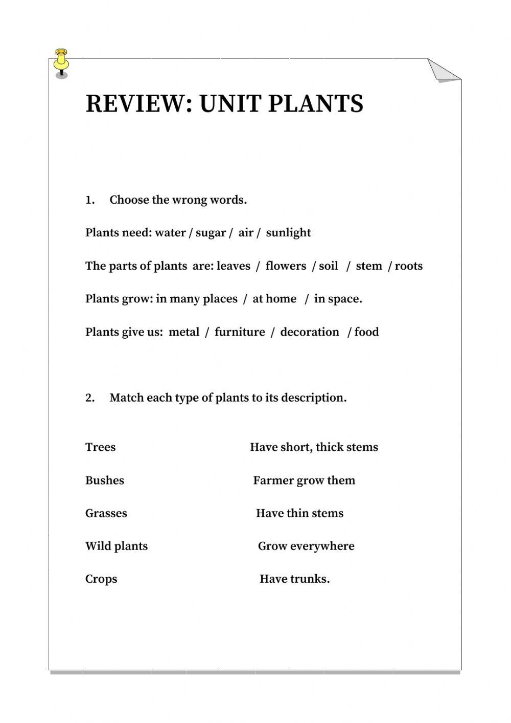 Review: Plants | Free Interactive Worksheets | 241994