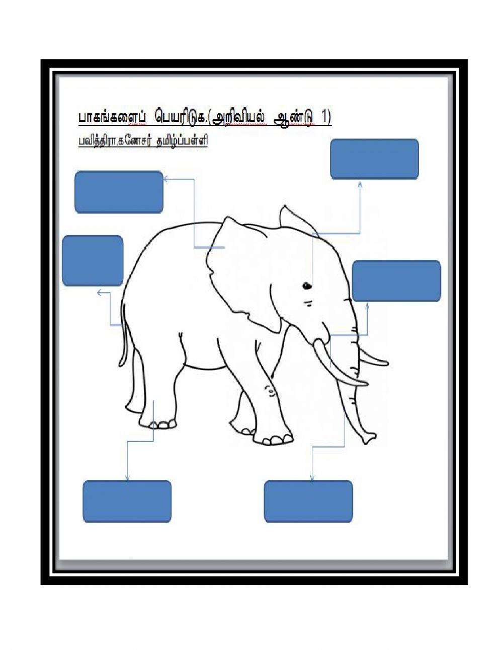 Science year 1 | Free Interactive Worksheets | 243342