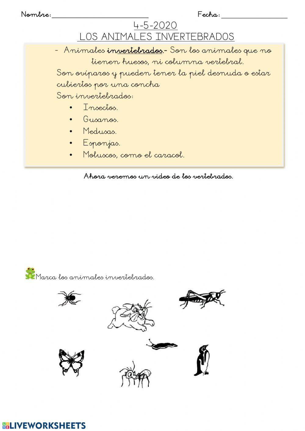 Hoja 7: Animales invertebrados 4-5 worksheet | Live Worksheets