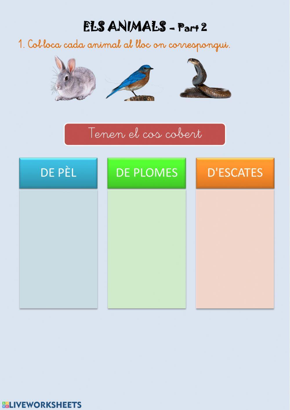 Els animals - Part 2 worksheet | Live Worksheets