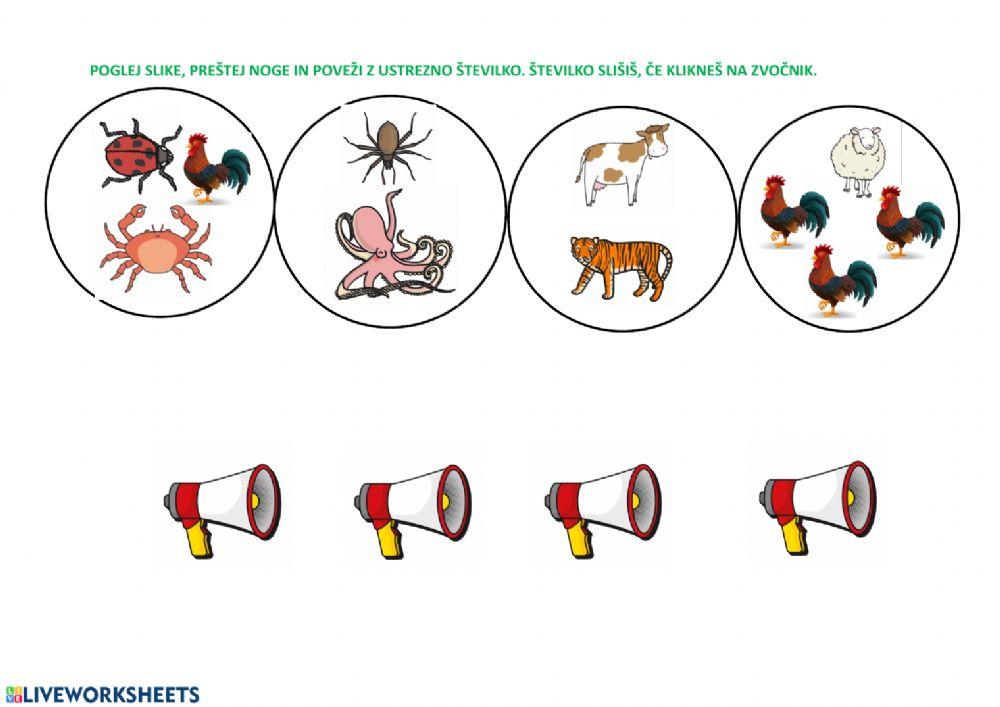 HOW MANY LEGS | kristina jelnikar | Live Worksheets