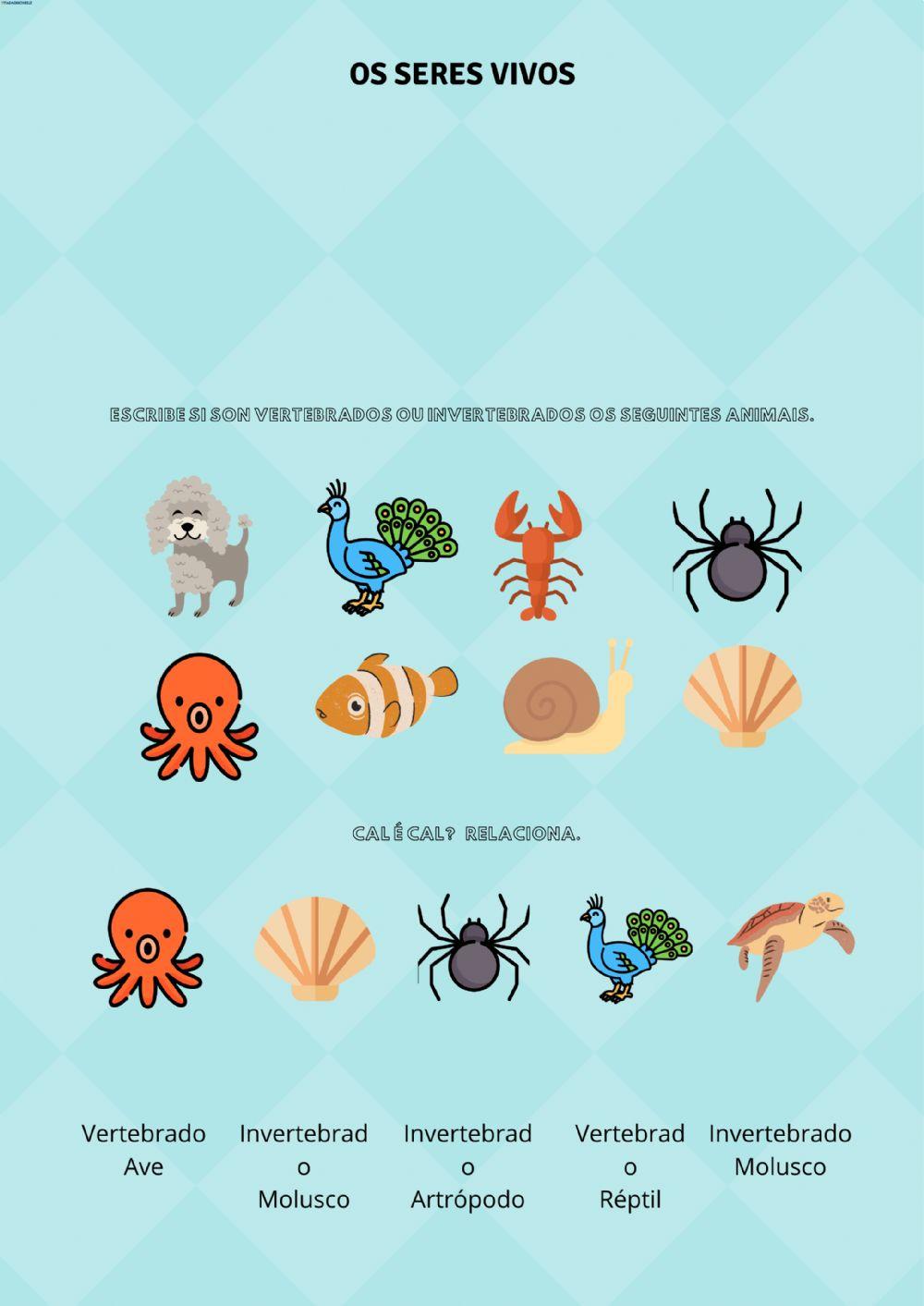 Seres vivos activity | Live Worksheets