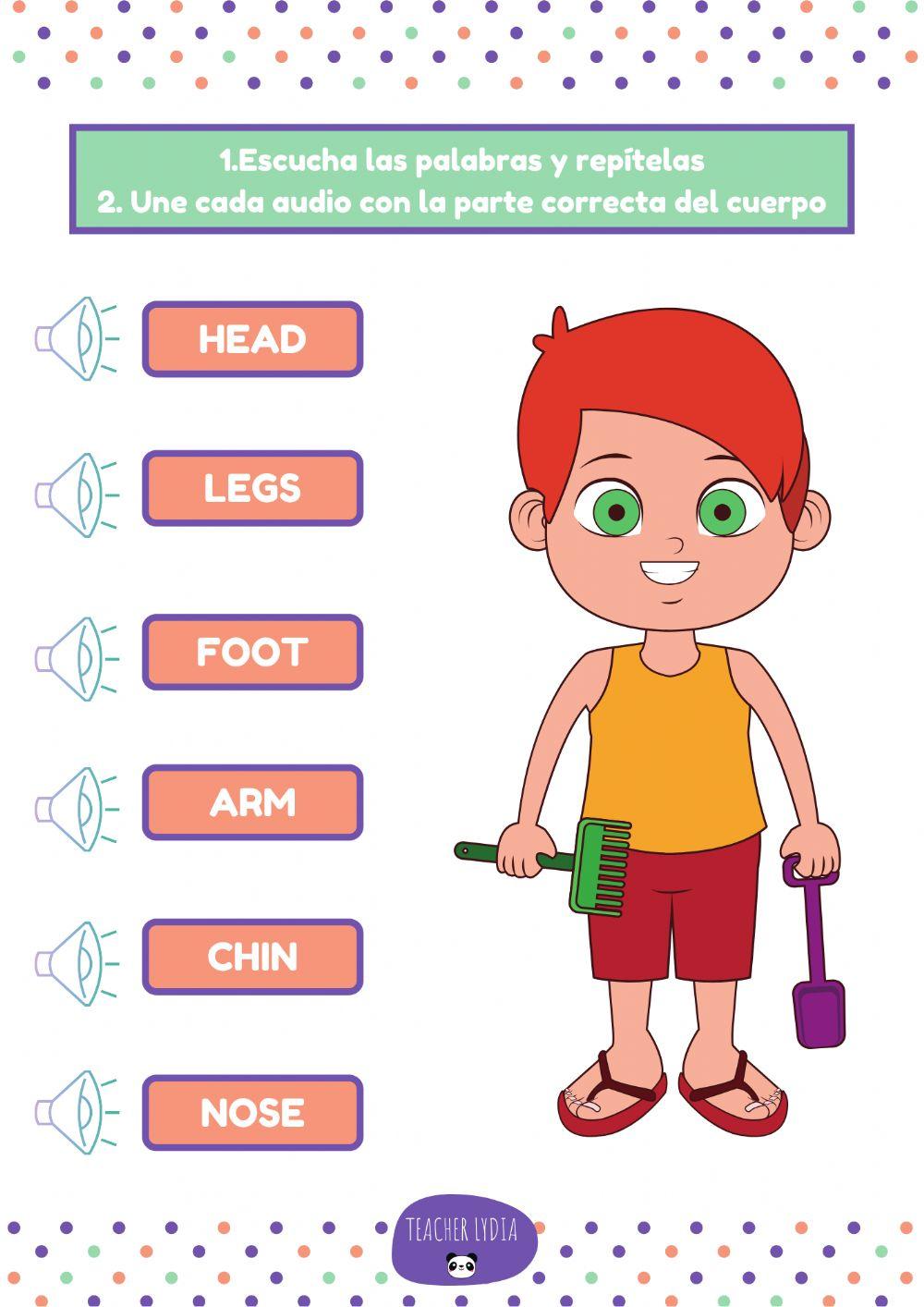 157845 | Body2 | TEACHERLY | LiveWorksheets