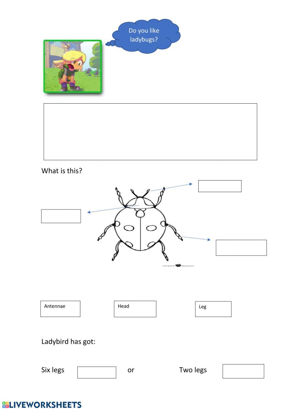 Ladybug | Free Interactive Worksheets | 158691