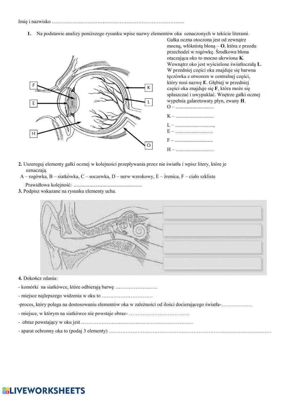 Oko i ucho 159033 | Monika Stepaniuk | Live Worksheets