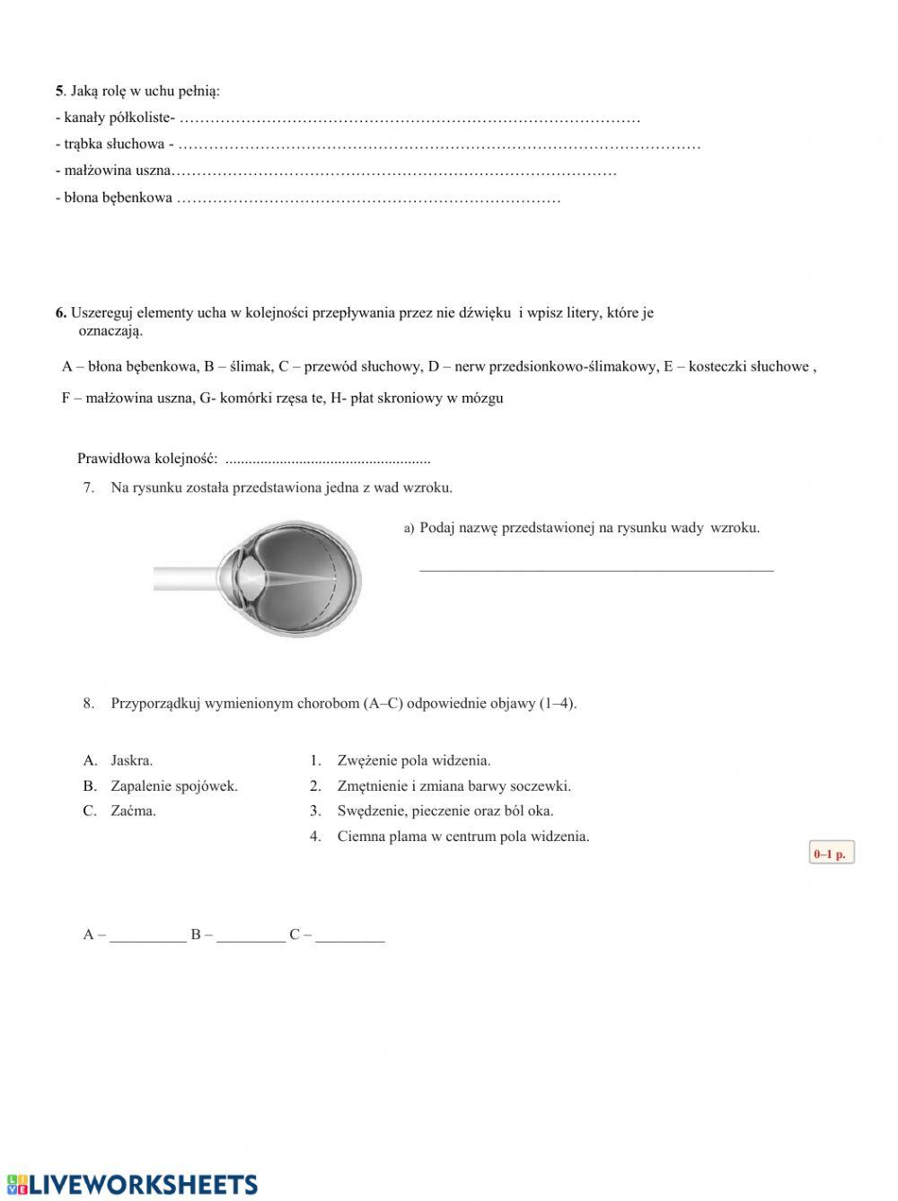 Oko i ucho 159033 | Monika Stepaniuk | Live Worksheets