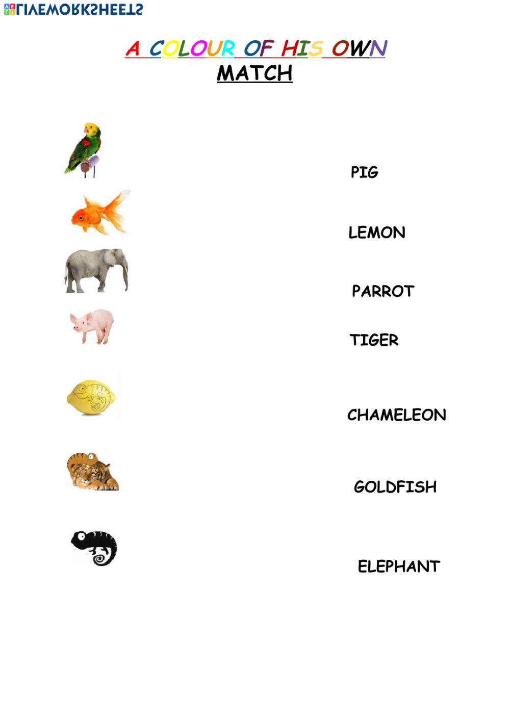A colour of his own worksheet | Live Worksheets