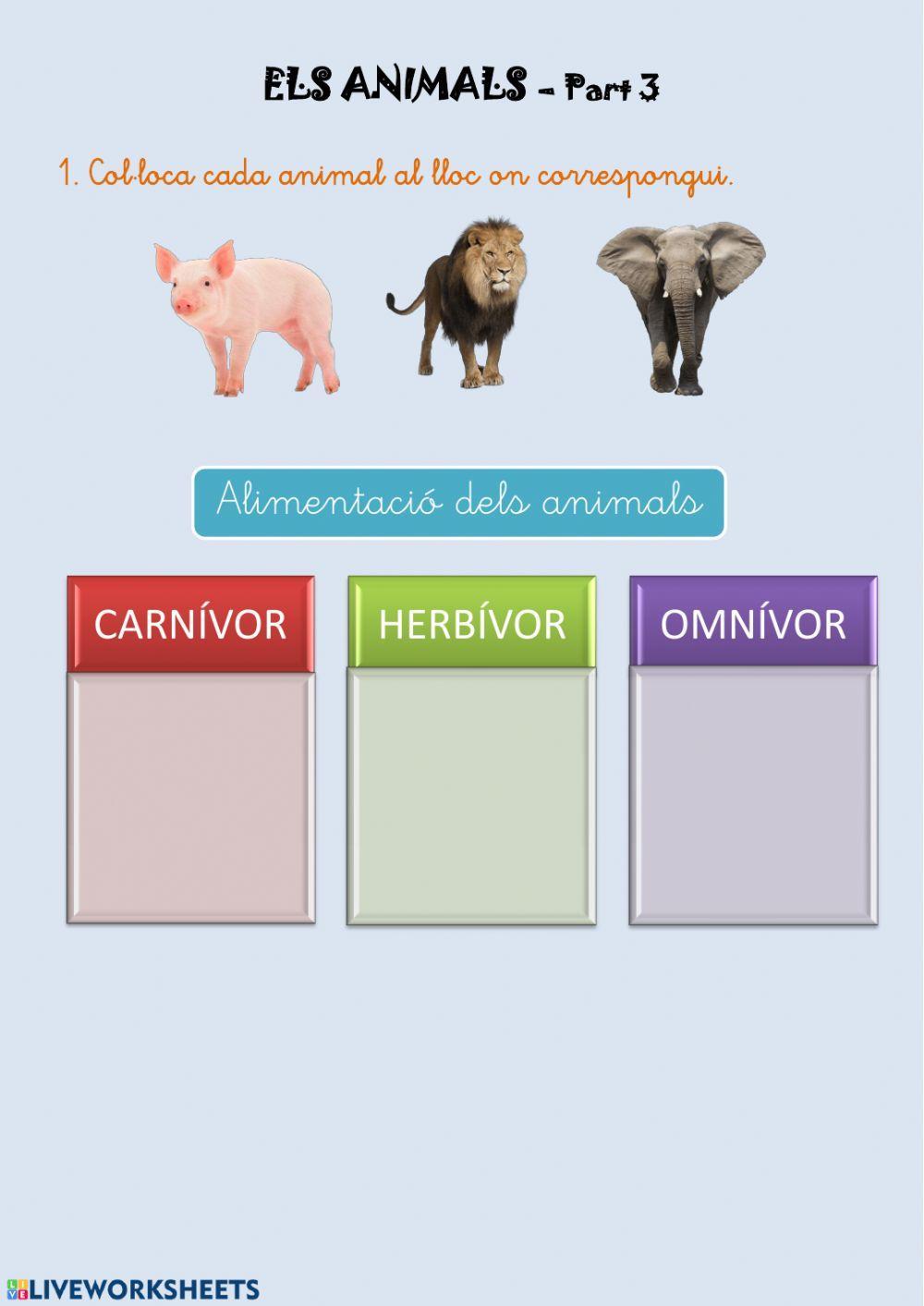 Els animals - Part 3 worksheet | Live Worksheets