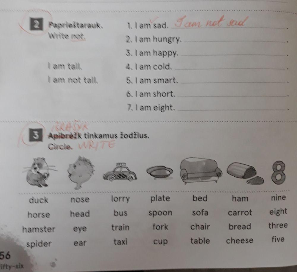 I am not - I'm not online exercise for | Live Worksheets