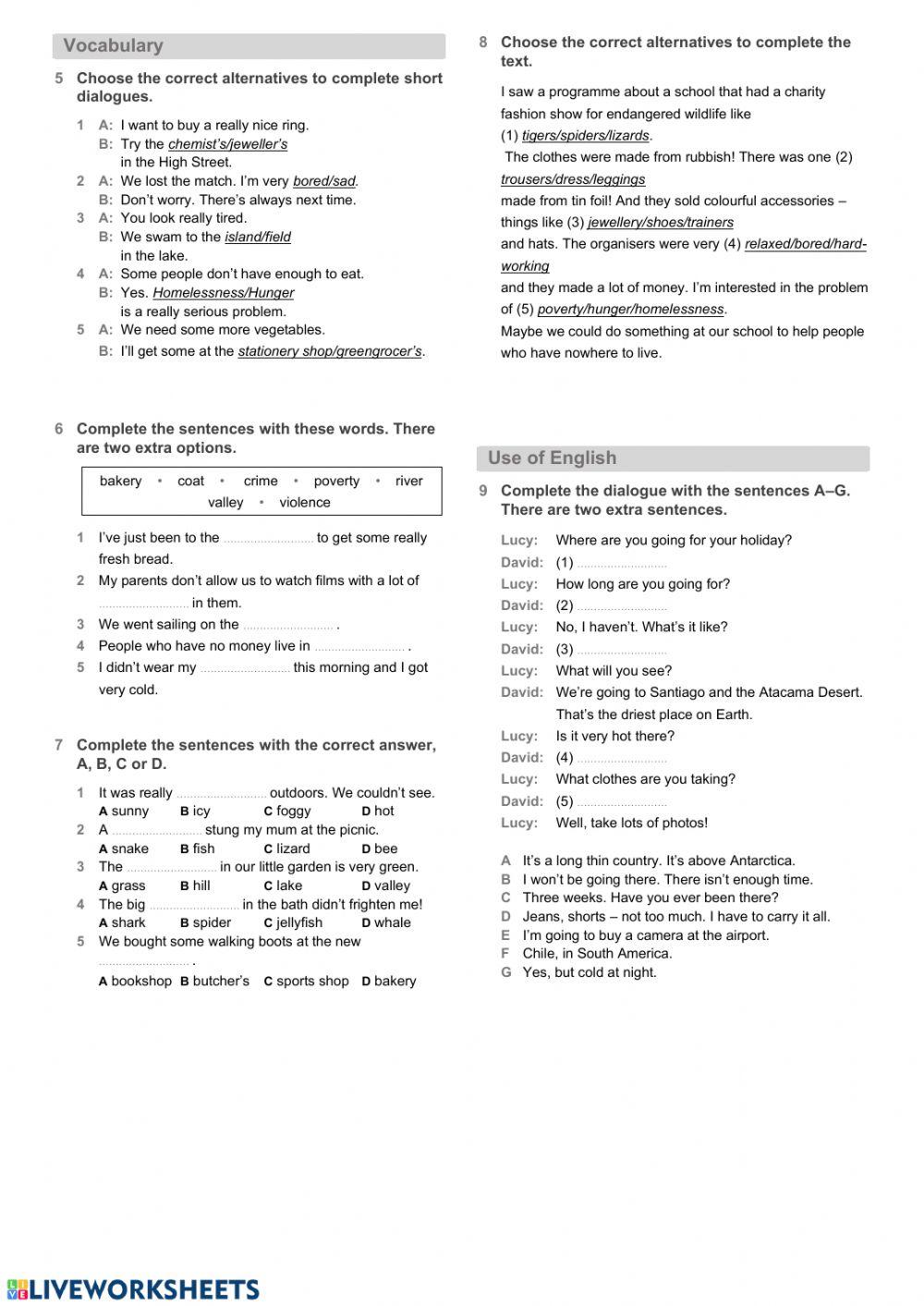 End-of-Year Use of English Test A2 online exercise for | Live Worksheets