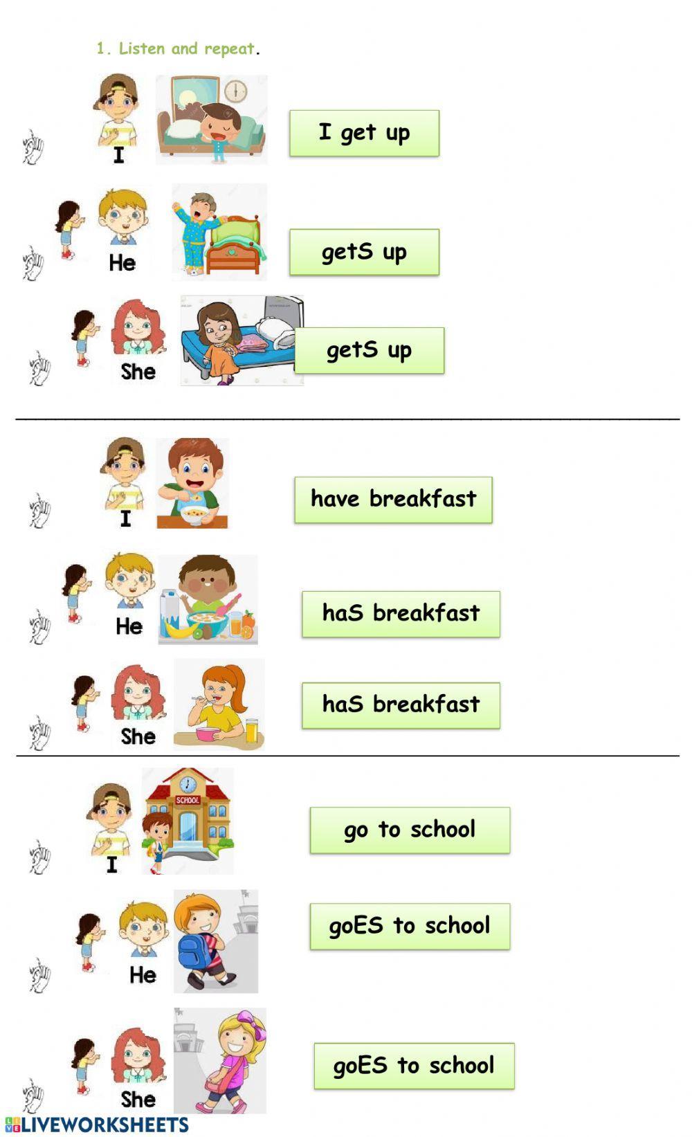 162065 | Hte simple present 1st and 3rd person singular