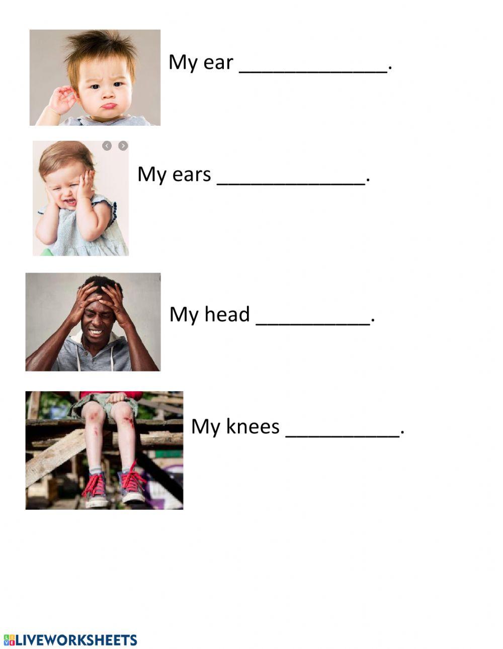 hurt vs hurts 5602144 | Elizabeth Bergner | Live