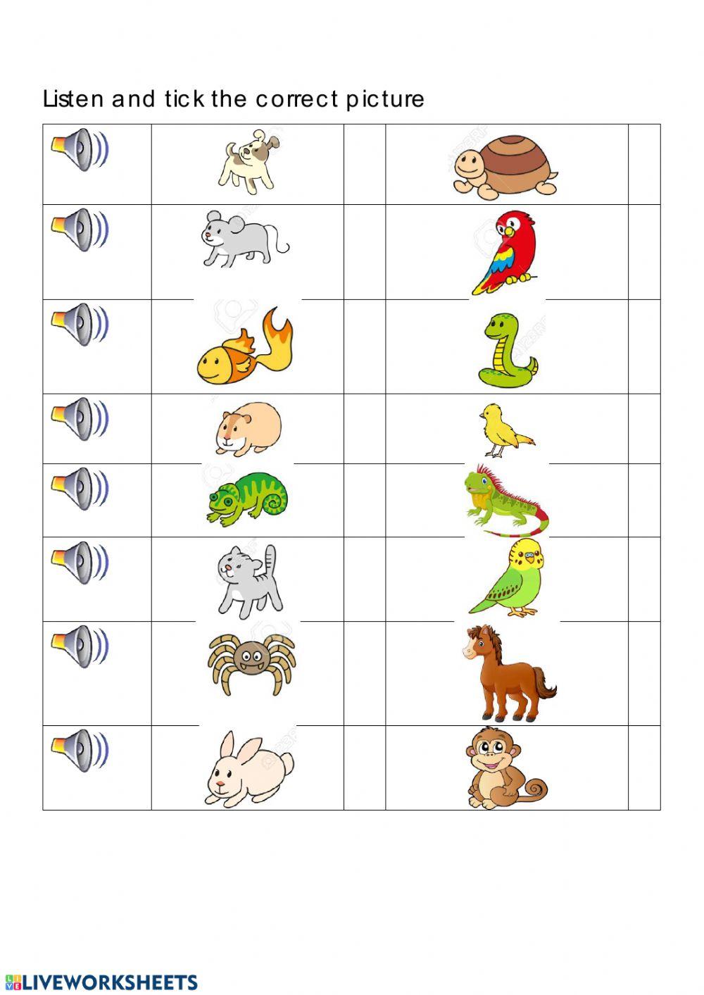 Animals worksheet | Live Worksheets