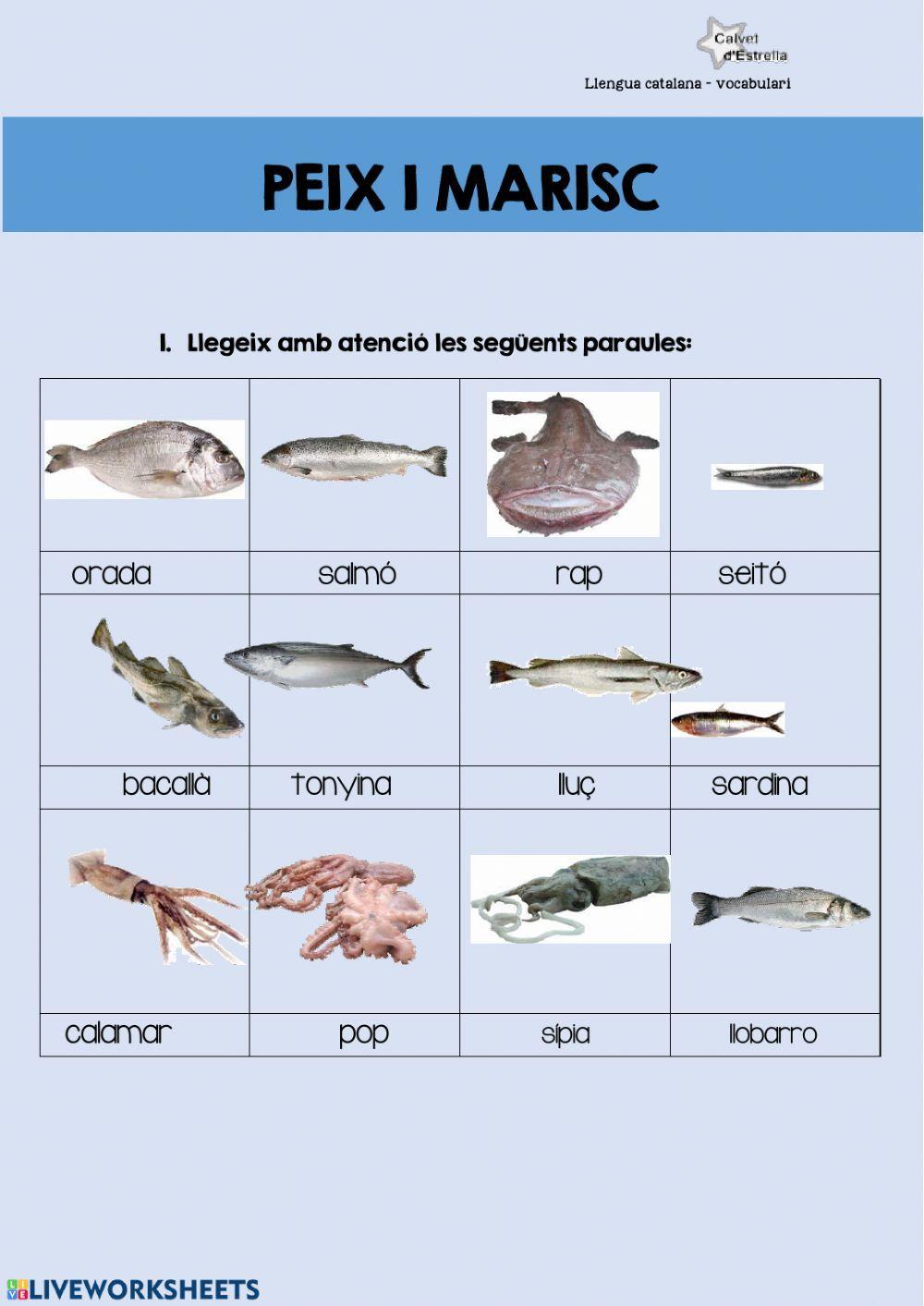 164781 | Vocabulari: peix i marisc | Raquel Acosta Flores