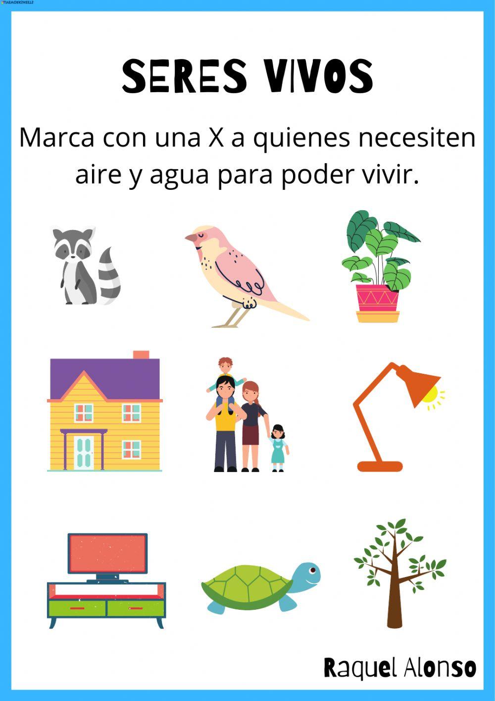 Los Seres Vivos Necesitan Aire Los Seres Vivos Necesitan Aire