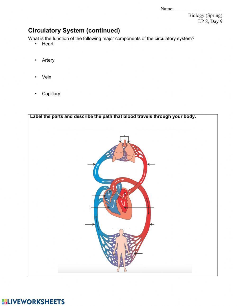 Biology LP 8 D 9 worksheet | Live Worksheets