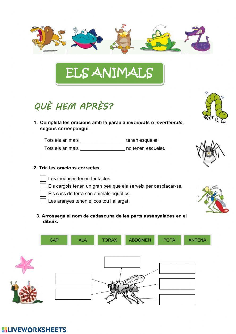 169476 | Els animals | planetestercer | LiveWorksheets