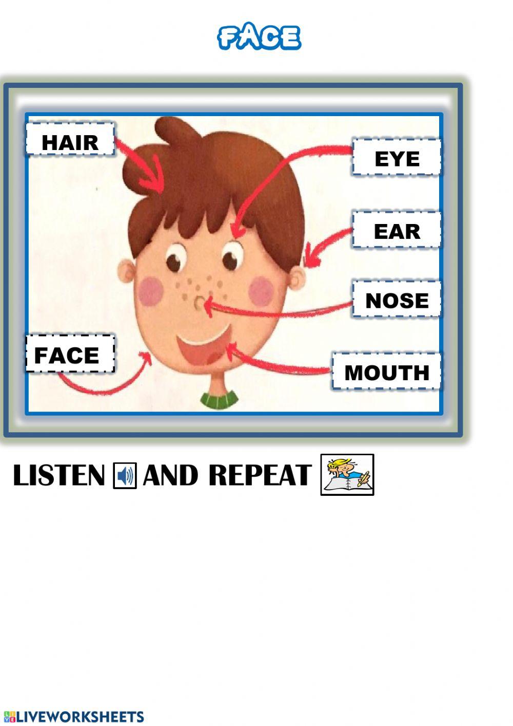 Face worksheet for ELEMENTARY | Live Worksheets