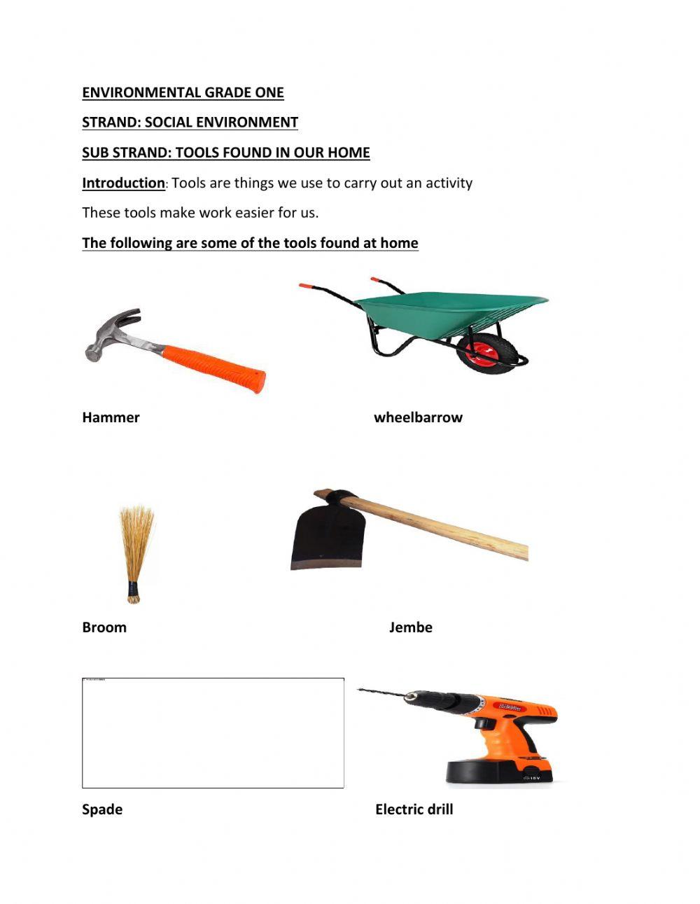 Environmental worksheet | Live Worksheets