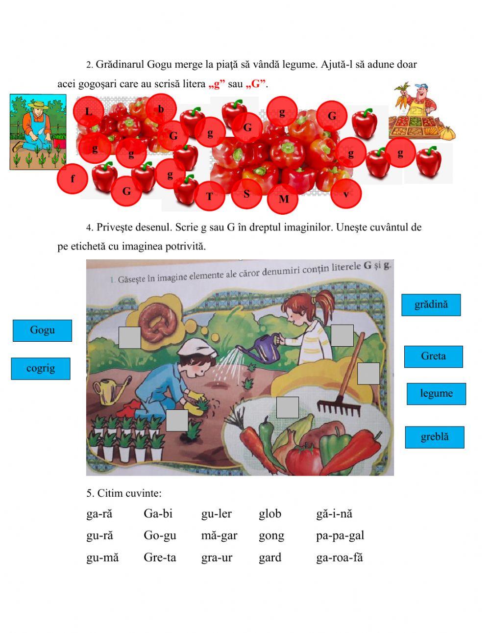 Sunetul si lite… | Free Interactive Worksheets | 245910