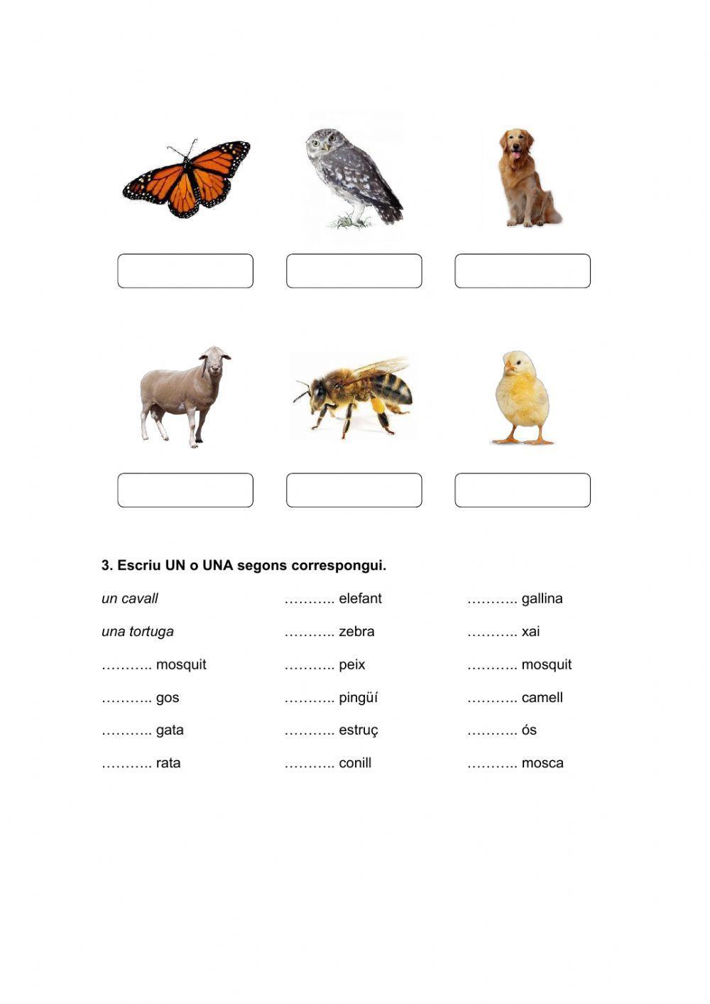 Els animals | Free Interactive Worksheets | 246005