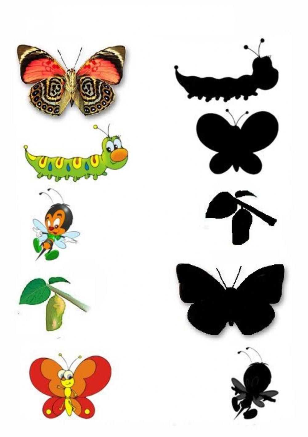 Insecte-Primăvara worksheet | Live Worksheets