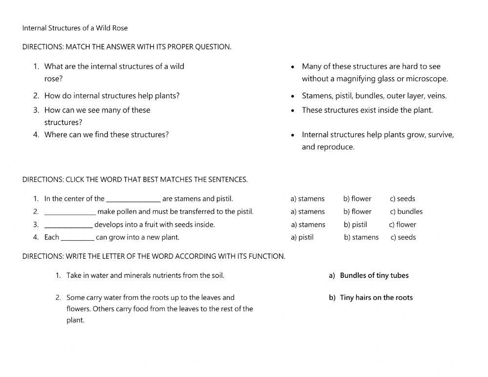 Internal struct… | Free Interactive Worksheets | 269825