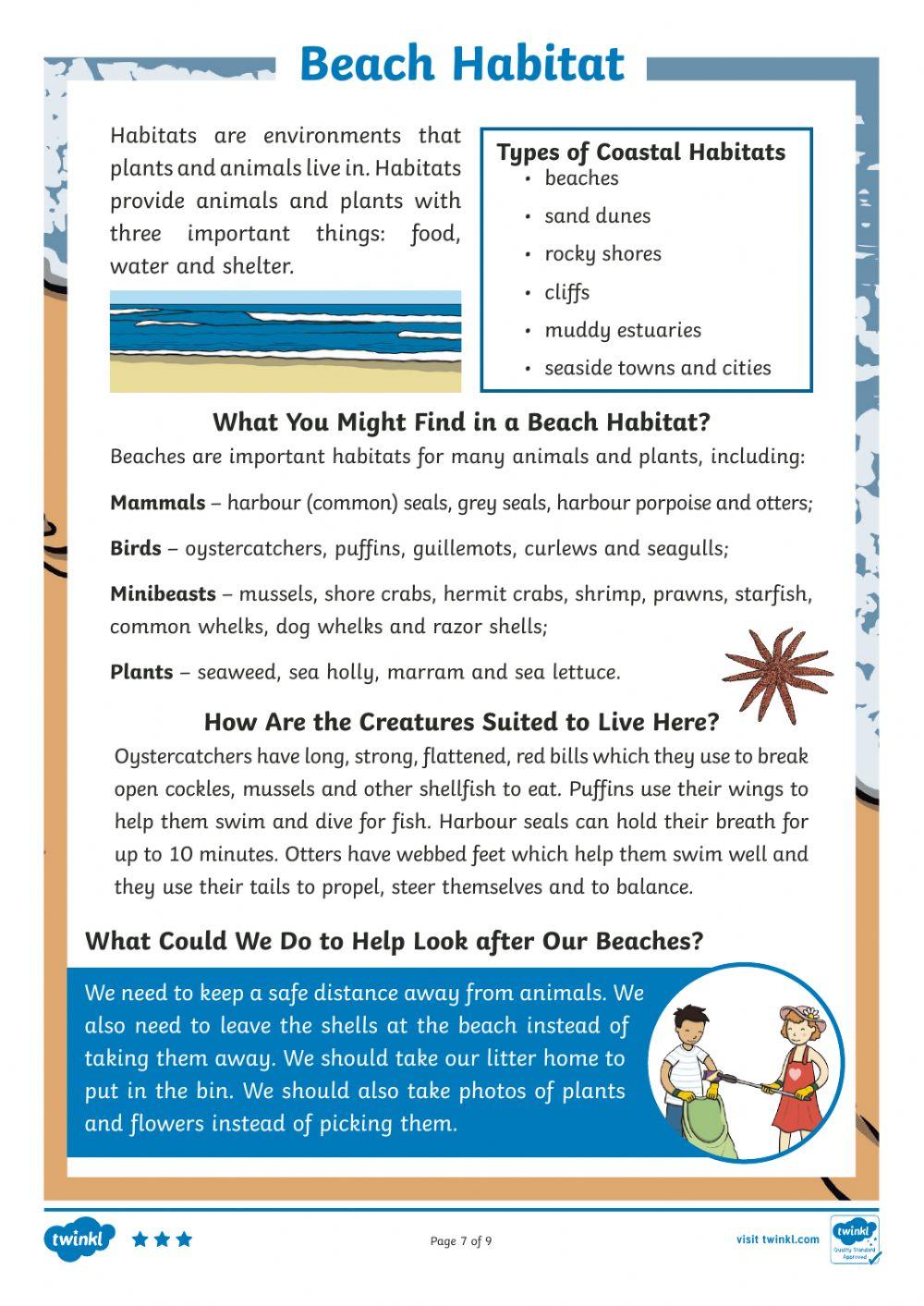 BEACH HABITAT online exercise for | Live Worksheets