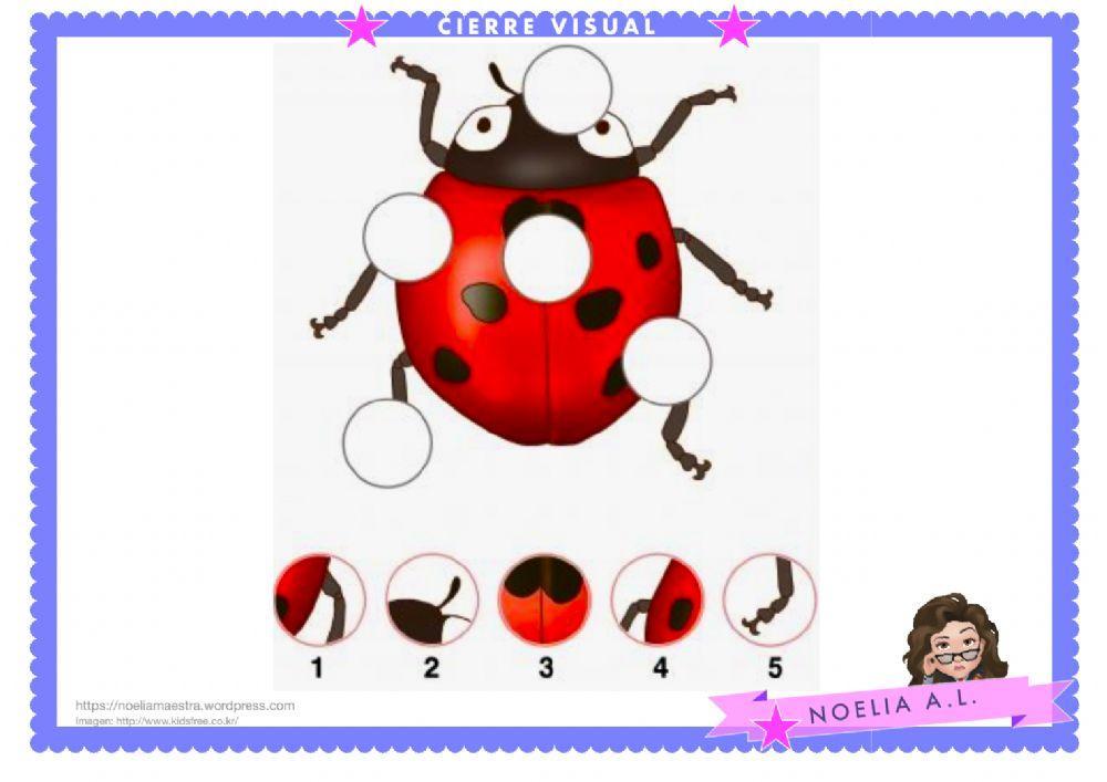 Cierre visual 1 | Free Interactive Worksheets | 274228