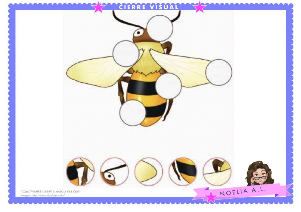 Cierre visual 4 worksheet | Live Worksheets