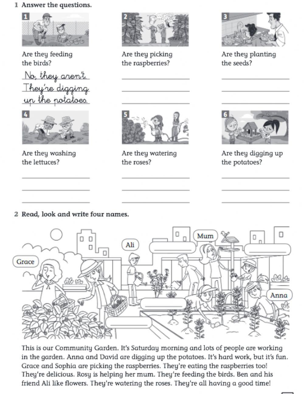 5832386 | Rooftops 4 Unit 6 | FranAlomar