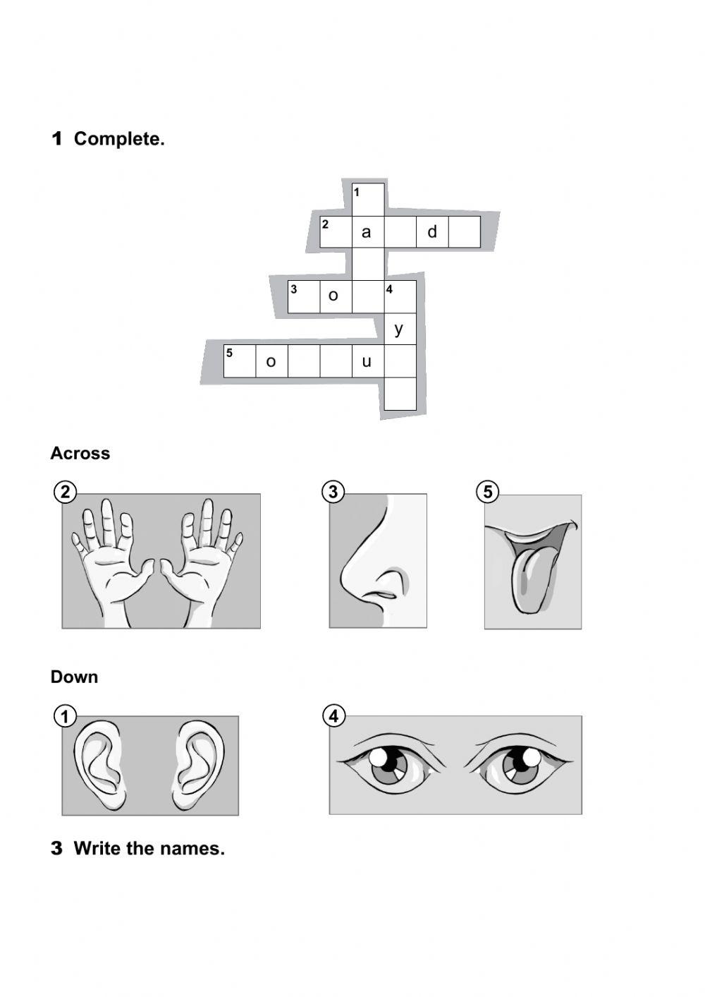 Grade 3 Prog. test worksheet | Live Worksheets